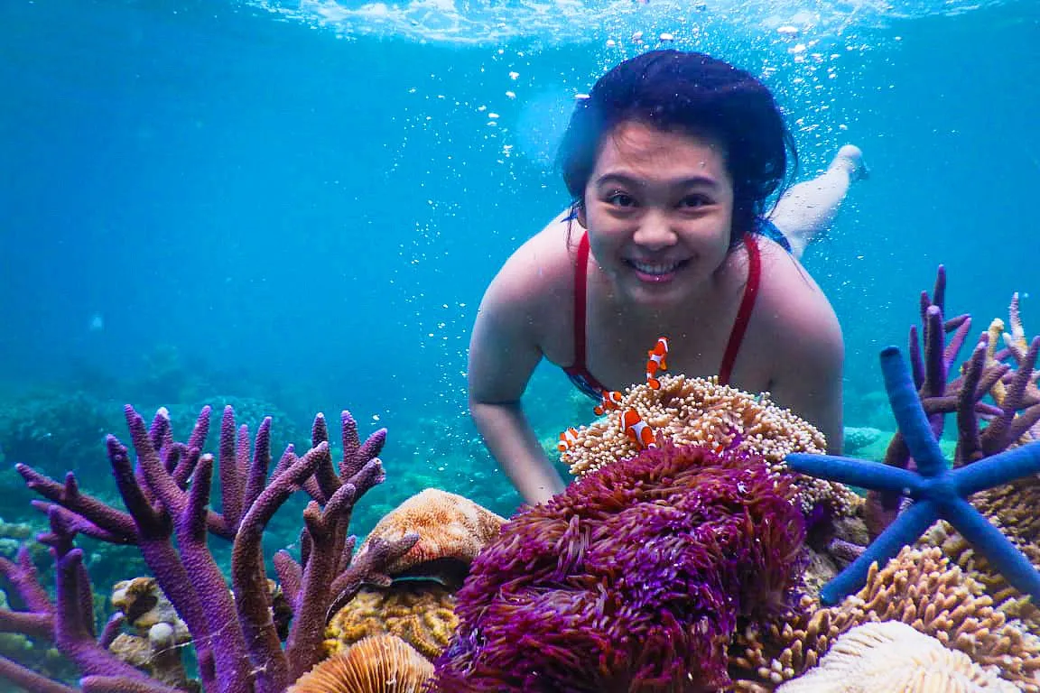 Semua yang Perlu Anda Ketahui tentang Pulau Karimunjawa – Thekarimun.com