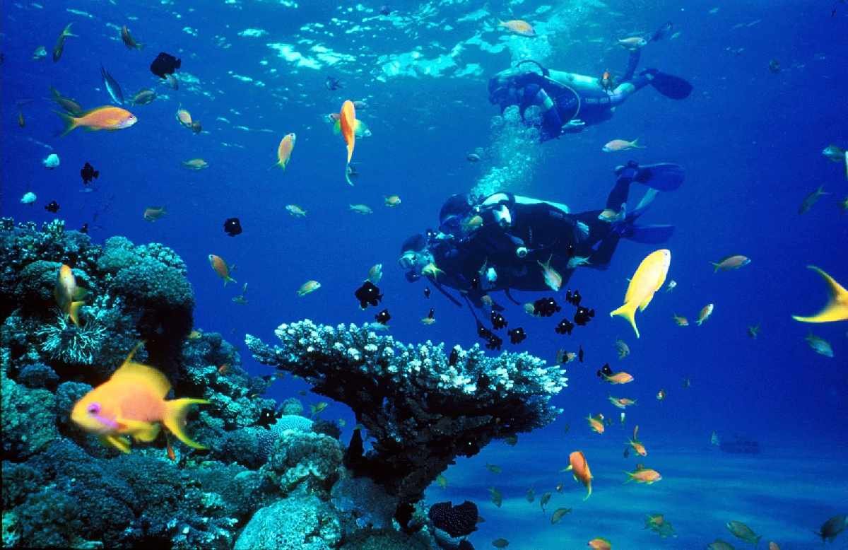 6 Manfaat Utama Scuba Diving Bagi Kesehatan – Thekarimun.com